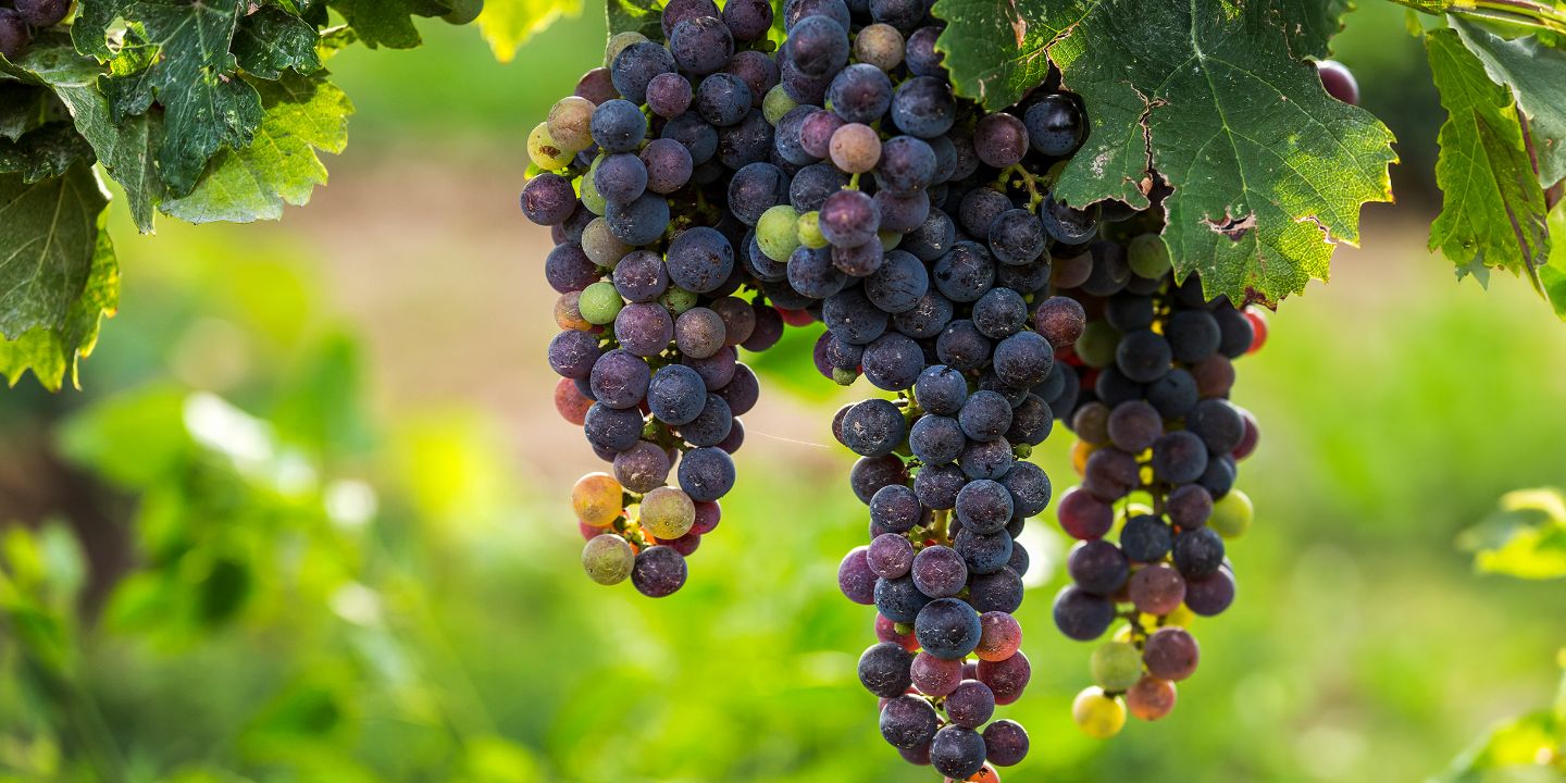 Celebrating our Charged for Change communities: The County of Prince ...