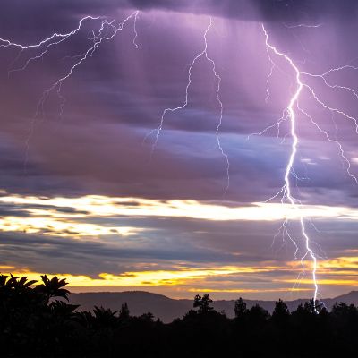 Safe from the flame: The cause and cost of wildfires