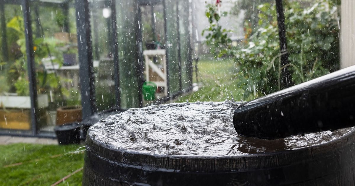 Climate change and sustainability: How rainwater harvesting can help ...