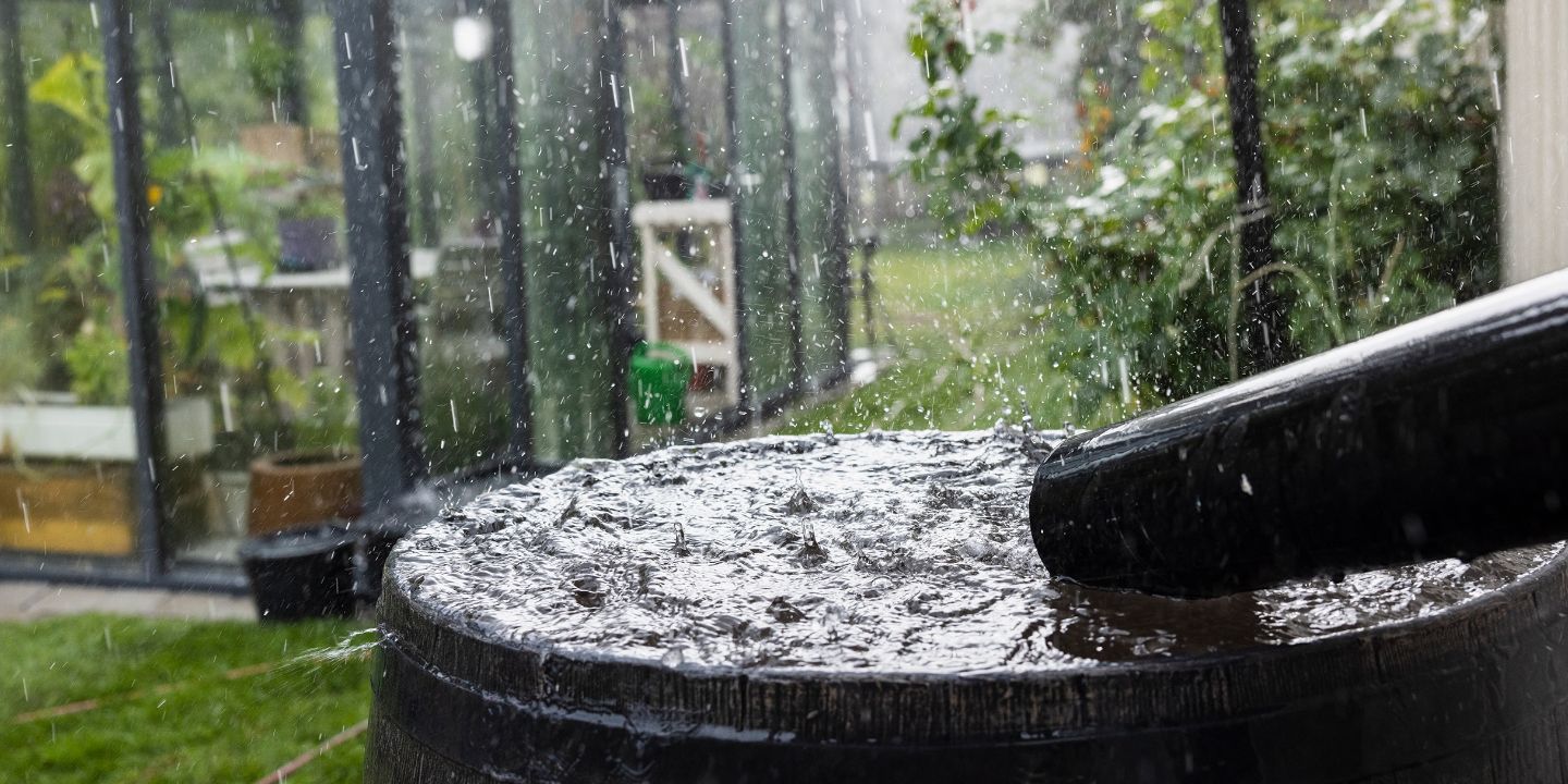 Climate change and sustainability: How rainwater harvesting can help ...