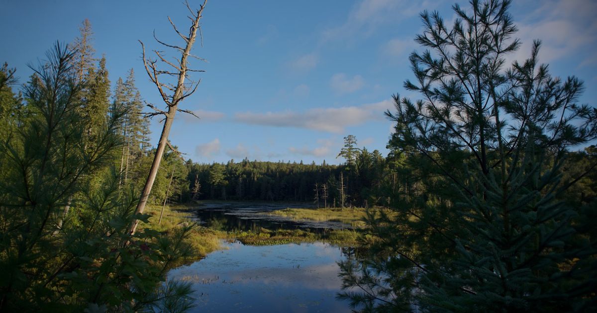 Celebrating our Charged for Change communities: Township of Essa ...