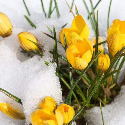 How to prevent basement water entry from spring thaw: Essential tips ...